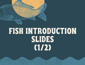 Fish Introduction Slides By Down On The Farm Agriculture Curriculum