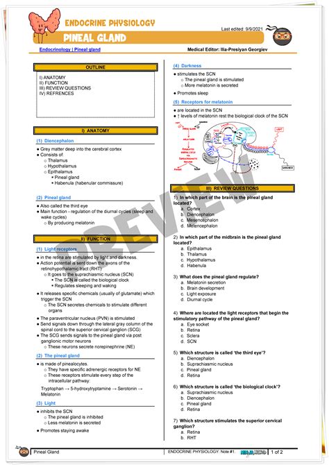 Pineal Gland Notes Ninjanerd Medicine