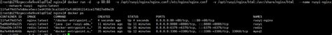使用 Docker 容器化部署 Spring Boot Vue 项目：以若依后台管理系统为例 知乎