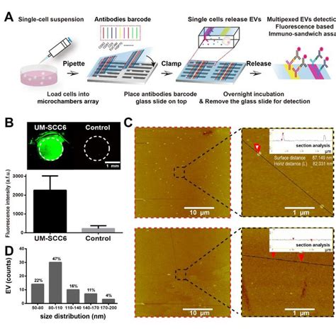 Platform For Multiplexed Profiling Of Single Cell Extracellular Download Scientific Diagram