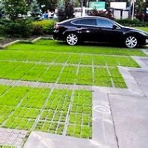 Рулонный газон - купить в Москве и Московской области. ⛳: продажа с ...