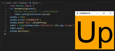 林姿瑋HTML CSS Jabascript Java Python