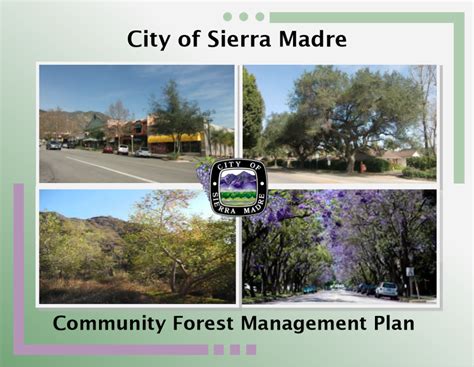 City Of Sierra Madre Community Forest Management Plan Carlberg