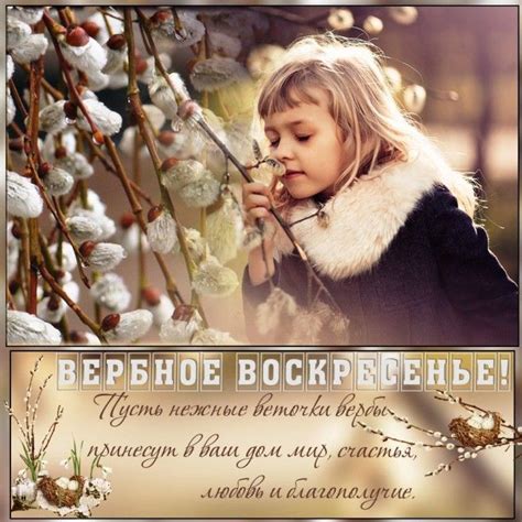 Красивые открытки и картинки с Вербным Воскресеньем 2018 Karten
