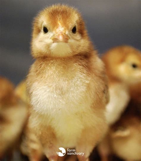 Pin De Lef En Aww Better Than People