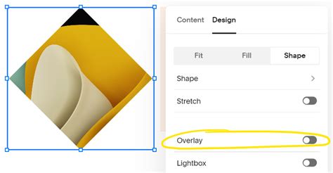 How To Remove Image Overlays Customize With Code Squarespace Forum