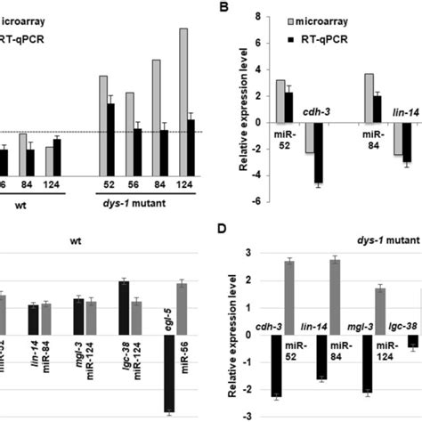 Rt Qpcr Validation For Differentially Expressed Mirnas And Target Genes Download Scientific