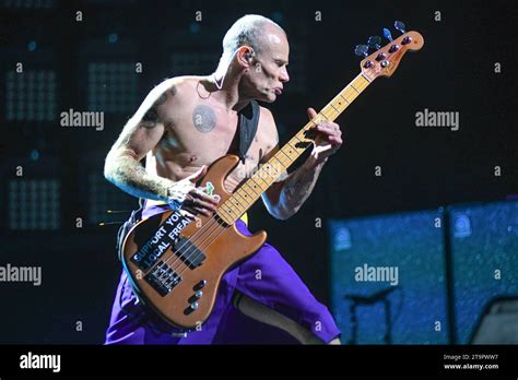 Flea Bass Red Hot Chili Peppers Live In Buenos Aires Argentina Stock Photo Alamy