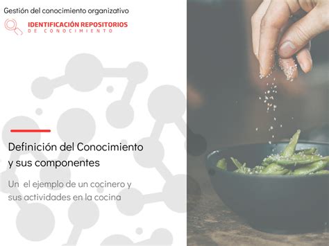 Definición Del Conocimiento Y Sus Componentes Geist Consultancy