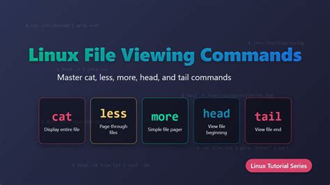 Linux File Viewing Commands Cat Less Tail Head And More For Beginners Youtube