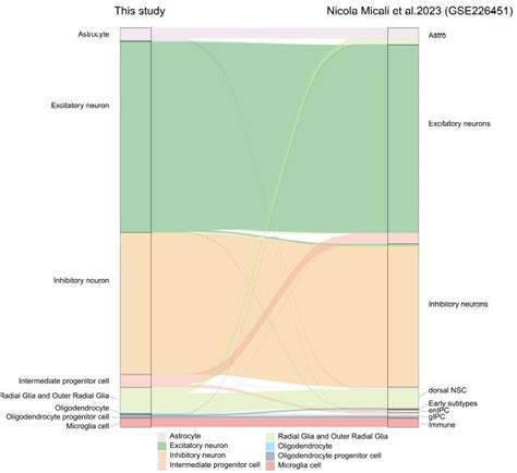 Figures And Data In Temporal Transcriptomic Dynamics In Developing