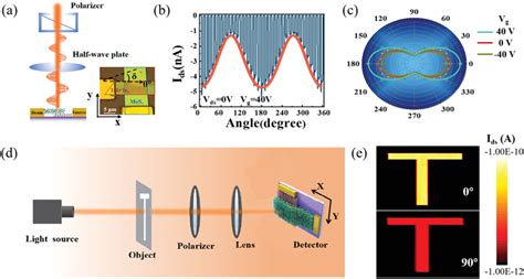Polarization‐sensitive Photodetection And Image Sensor Of The Download Scientific Diagram