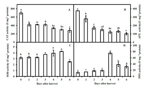 Antioxidase And Polyphenol Oxidase Activity Of Pericarp Of Fruit Stored Download Scientific