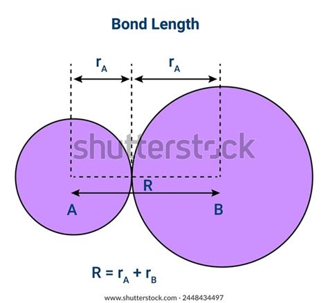 Bond Length Equilibrium Distance Between Nuclei Stock Vector Royalty