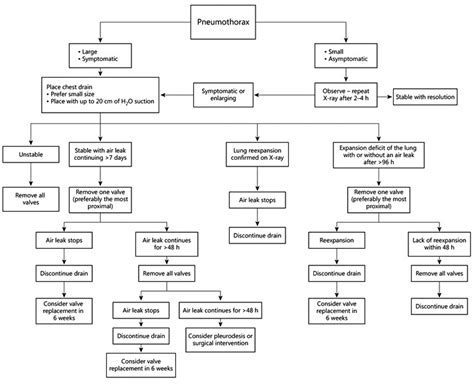 Pneumothorax Management Recommendations The Recommended Timelines In Download Scientific