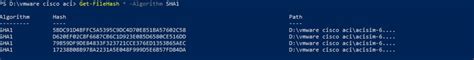 Solved Cisco Aci Simulator 60 3d On Error Sha Digest Of File Acism 6