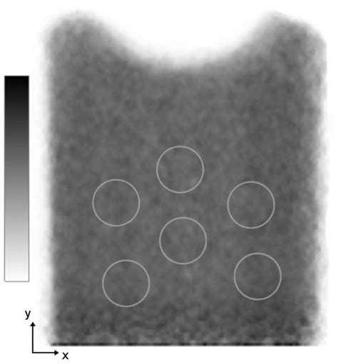 Uniform Source Image Showing ROIs Used To Calculate Percentage Download Scientific Diagram