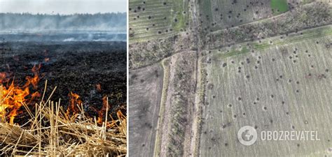 Війна в Україні завдала шкоди екології на 1 7 трлн Oboz Ua
