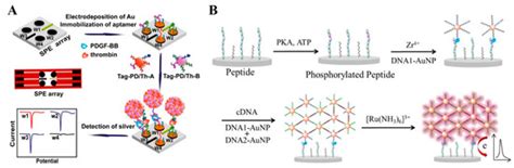 Nanomaterials Special Issue Preparation Of Nanomaterial Modified Electrode And Its Sensing