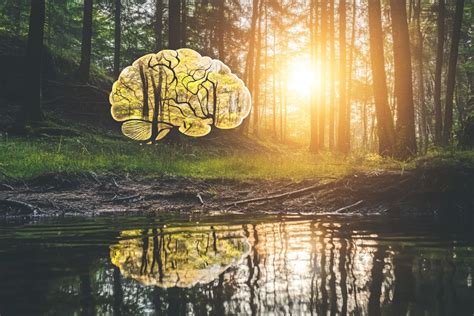 Interoception A Gateway To The Neuroscience Of Self Awareness Neuroscience News