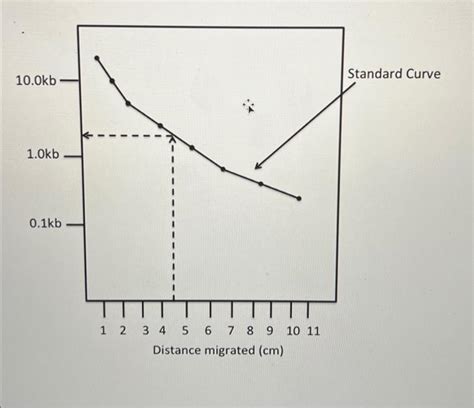 Solved Please Draw A Log Linear Graph With Standart