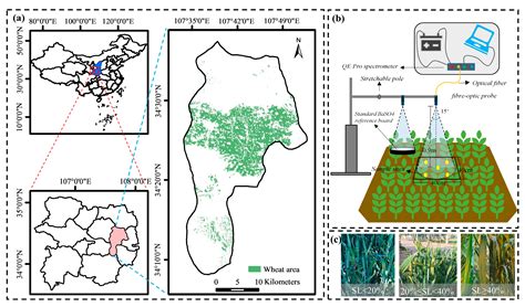An Improved Approach To Monitoring Wheat Stripe Rust With Sun Induced Chlorophyll Fluorescence