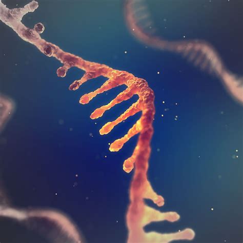 Mrna Production Workflow Danaher Life Sciences