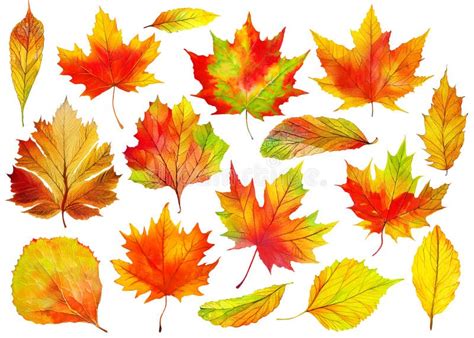 16 Isolated Multicolored Autumn Leaves Digital Illustration Based On Render By Neural Network