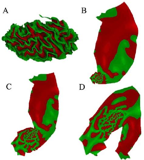 Figure 1 From Least Square Conformal Mapping With Spring Energy