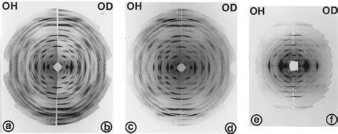 Series Of Neutron Fiber Diffraction Patterns For Cellulose I And