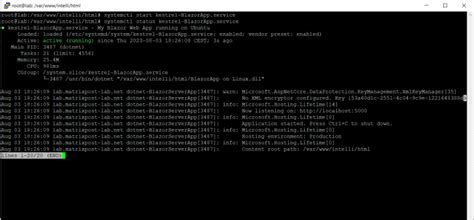 Running Blazor Server Web App On Linux And Apache