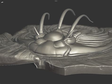 3d File Kolihapeltis Fossil・3d Printing Model To Download・cults