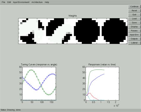 Example Simulation Of Ocular Dominance And Orientation Selectivity As Download Scientific