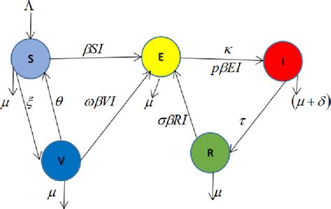 Figure 1 From An Sveire Model Of Tuberculosis To Assess The Effect Of An Imperfect Vaccine And