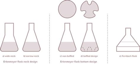 Shake Flasks More Than Just Filling Volumes Eppendorf 艾本德