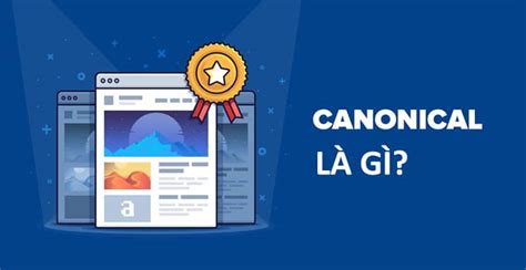 Canonical Là Gì Tối Ưu Website On Top Với Rel Canonical 2022 Bởi Seodo Agency Brands Vietnam