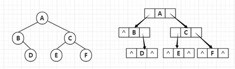Data Structure Basic Operation Of Binary Tree