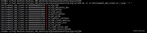 linux nm指令（nm命令），查看动态库函数（动态库中函数、查看库函数）（查看动态库中 so有哪些函数）（nm d a） linux