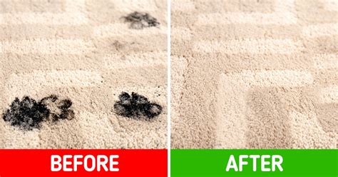 Life Hacks To Easily Remove Common Stains From Your Carpet Minute Crafts
