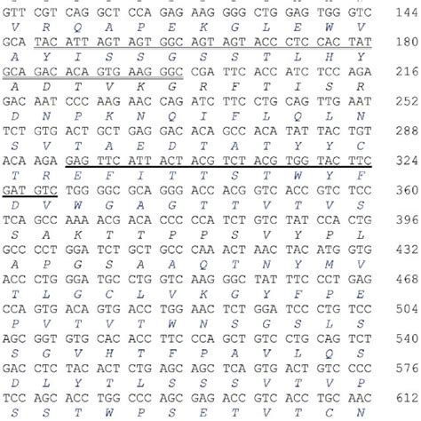 the coding sequence cds and amino acid sequence italic of the