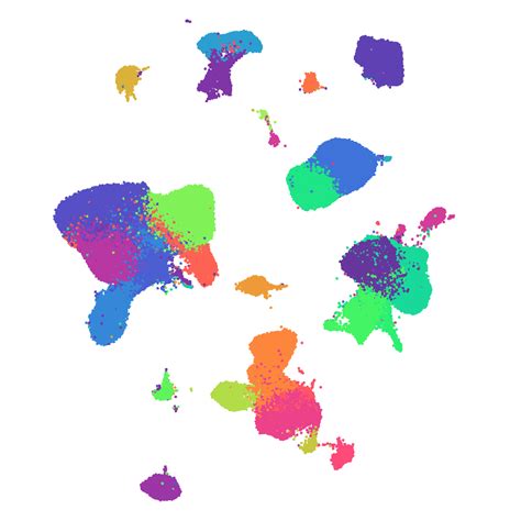 Spatial Skin Atlas