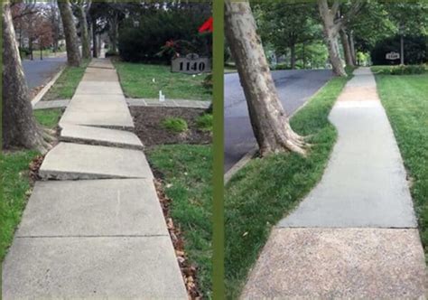 A Guide To Repairing Sidewalks Raised By Tree Roots