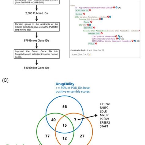 Key Factors To Be Considered In Drug Target Selection Linkage To Download Scientific Diagram