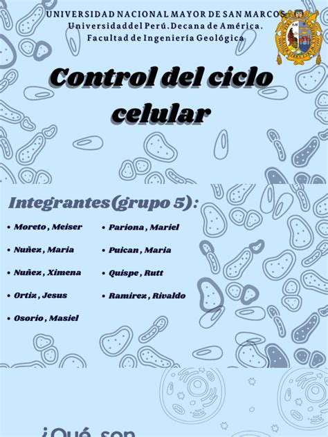 Control Del Ciclo Celular Pdf Pdf