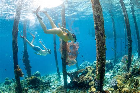 Blog Posts Meridian Adventure Raja Ampat Indonesia Scuba Diving