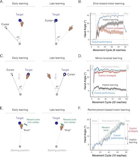 fundamental processes in sensorimotor learning reasoning refinement