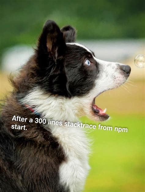 300 Lines Npm Start Stacktrace Programmerhumor