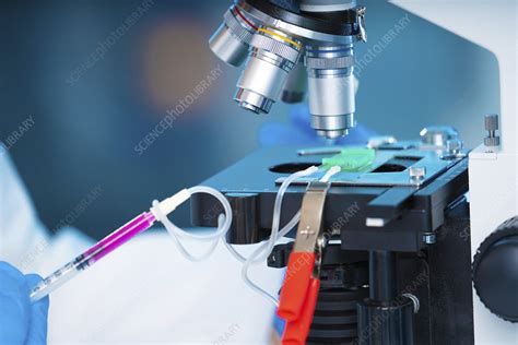 Lab On A Chip Stock Image F Science Photo Library