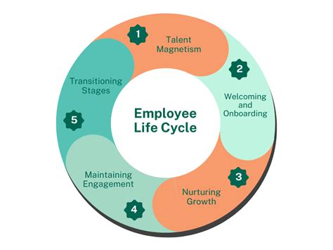 Understanding The Stages Of The Employee Life Cycle Greater Human Capital