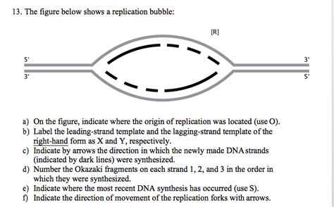Solved 13 The Figure Below Shows A Replication Bubble R]